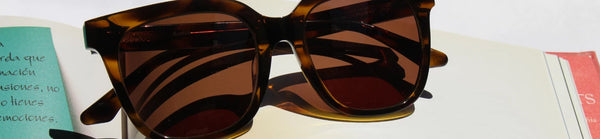 Anteojos de Sol. Encuéntralos en la Óptica Will Bloom y compra online